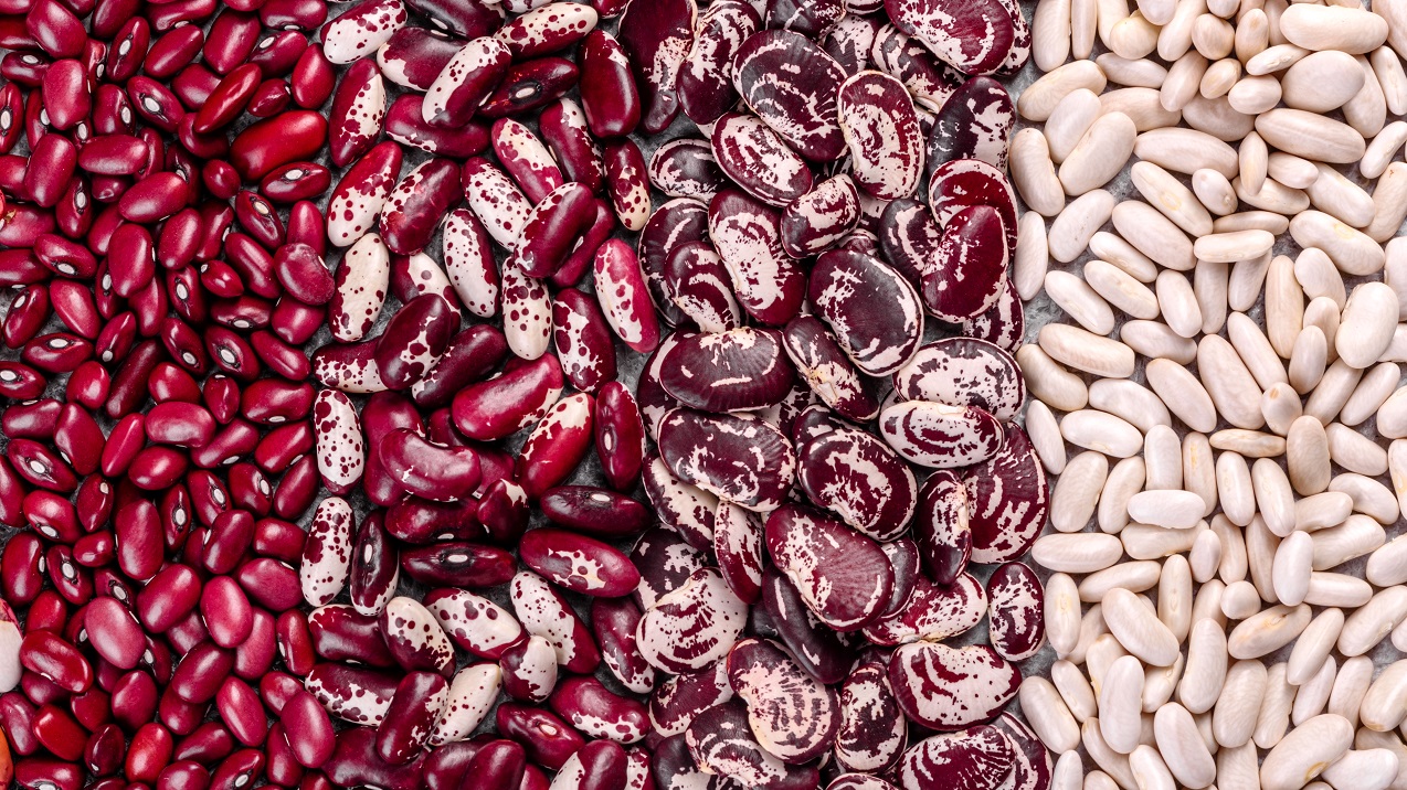 Fazuľa od A po Z – všetko, čo potrebujete vedieť o druhoch, účinkoch ...