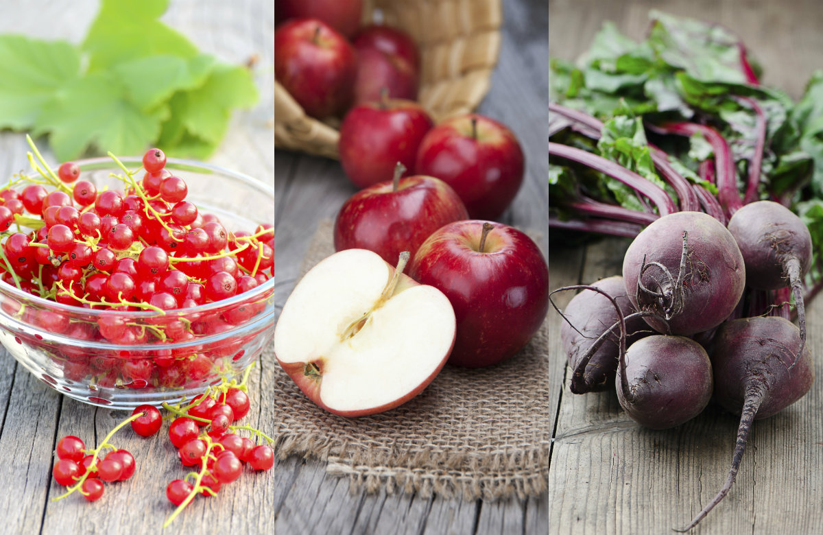 Cvikla s jablkom alebo jablko s ríbezľou? - KAMzaKRASOU.sk