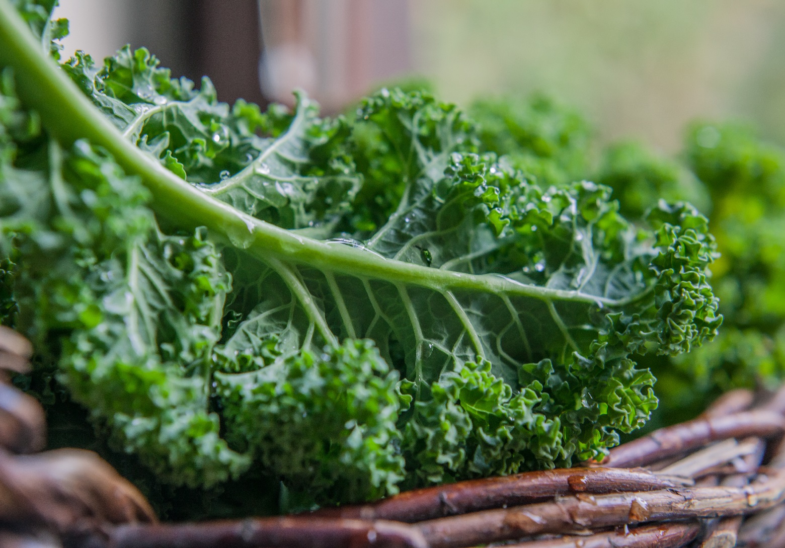 Kučeravý kel: Poznáme 13 dobrých dôvodov, prečo ho začať jesť ...