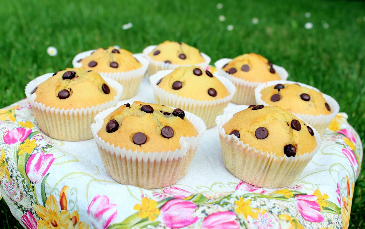 Muffiny s prekvapením pre všetky zvedavé deti - KAMzaKRASOU.sk