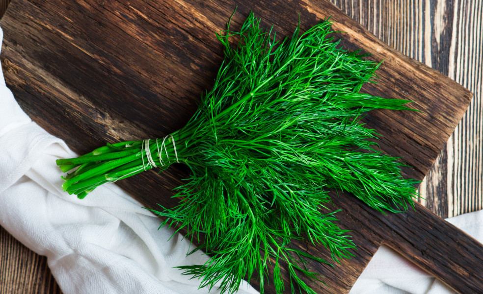 Nevieš čo s ním? Tu sú tipy, ako skladovať kôpor rôznymi spôsobmi ...