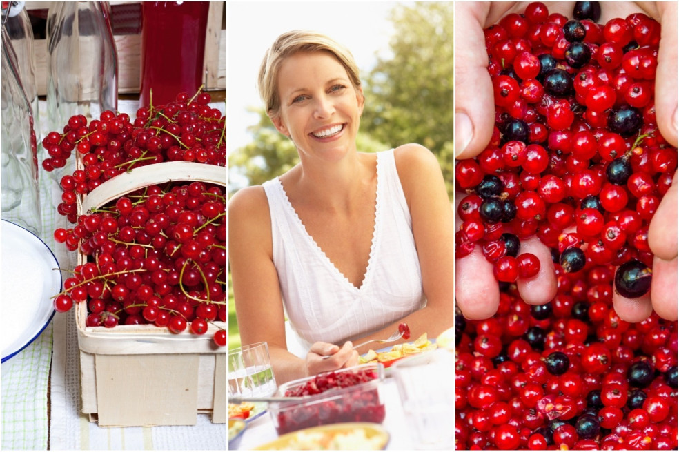 Recept na ríbezľový sirup: Vychutnávaj si ríbezle po celý rok ...